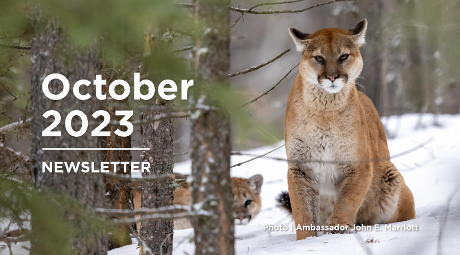 EWC October 23' Update - Oct 31, 2023